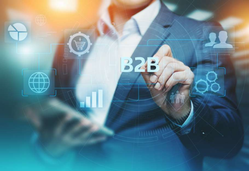 Understanding B2B Customer Data Platforms: How They Solve The B2B ...